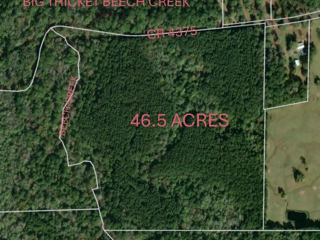1810 County Road 4375