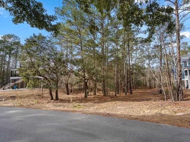 1810 Gray Oaks Dr, Conway, SC 29526