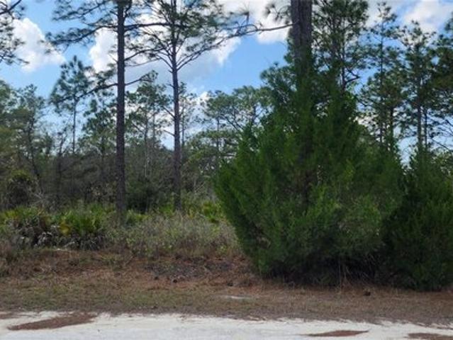 18119 Parrot Rd, Weeki Wachee, FL 34614