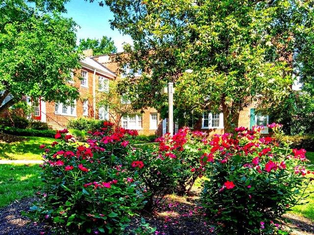 1811 Key Blvd Unit 10532, Arlington, VA 22201