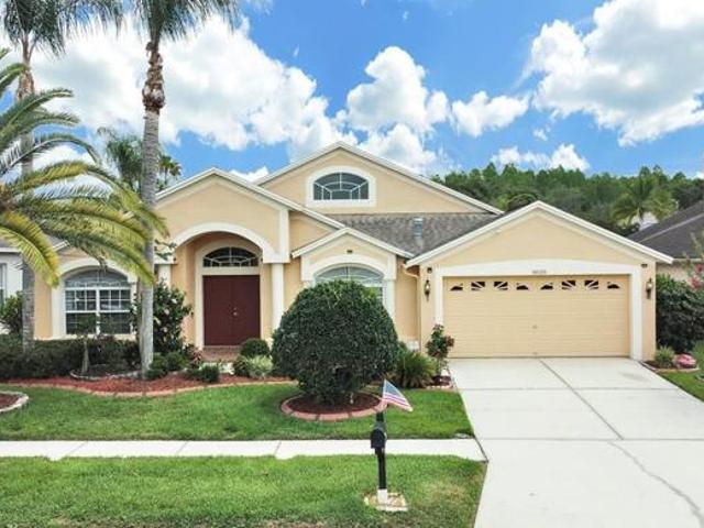 18125 Sweet Jasmine Dr, Tampa, FL 33647