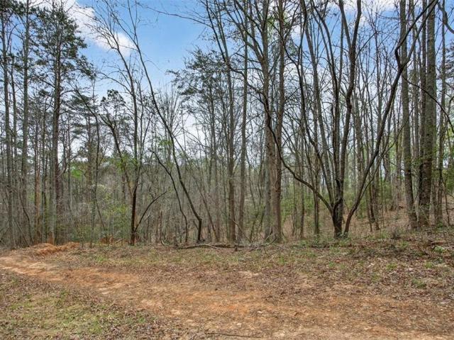 1812 Upper Bethany Rd, Ball Ground, GA 30107 | MLS #7745 | Compass