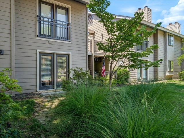 1813 birch post cv
