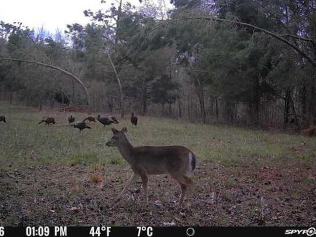 181 County Road 415, Oxford, MS 38655