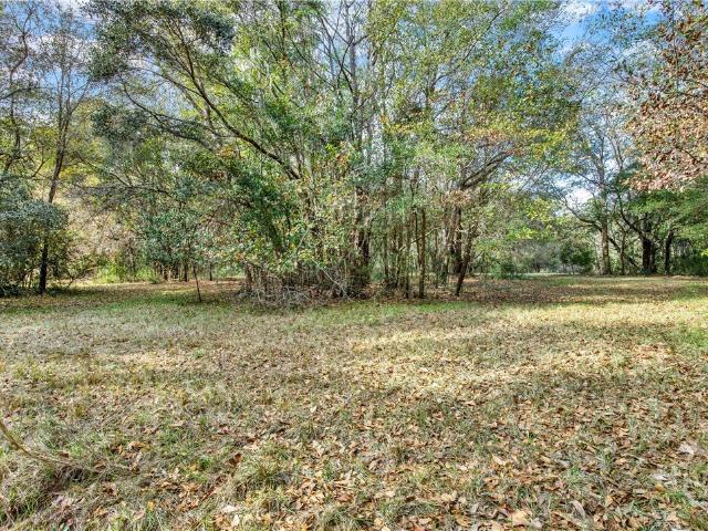 181 Burton Rd, Savannah, GA 31405 | MLS #SA340617