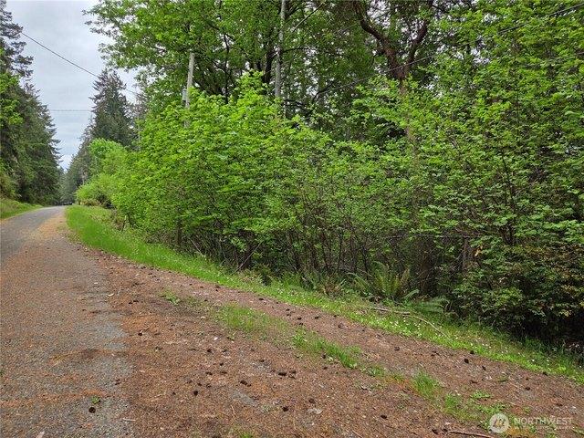 181 E Peale Dr Lot 219015000, Shelton, WA 98584