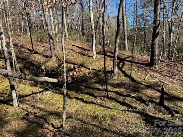 181 Falling Leaves Lane