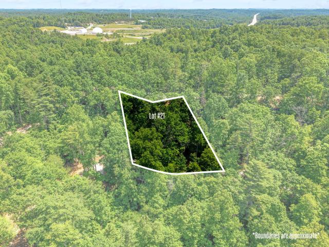 181 High Ridge Road