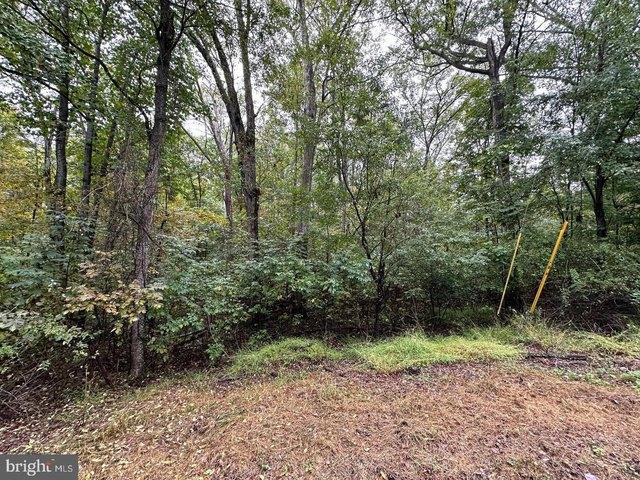181 Oak Dr, Winchester, VA 22603
