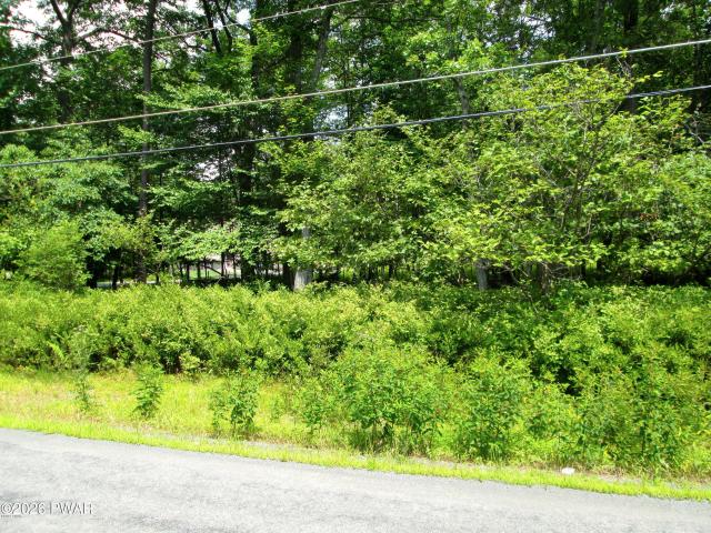 181 Privet Lane