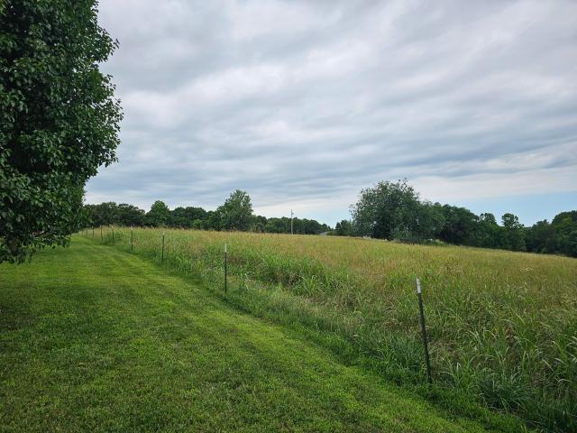 181 Talon Lane