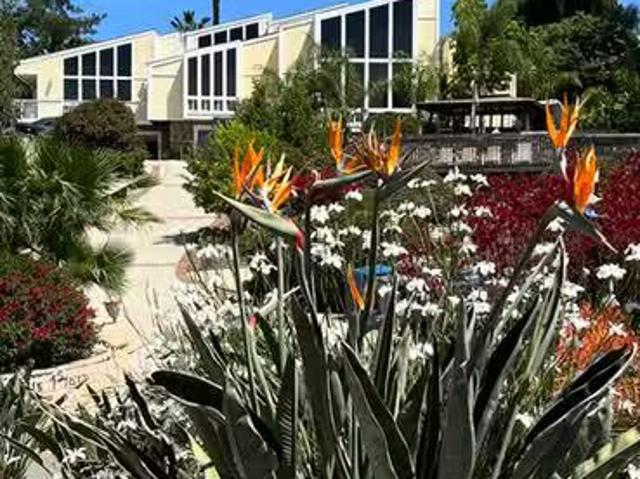 1824 Shadow Knolls Pl, Unit Suite in Mansion Condos in El Ca.