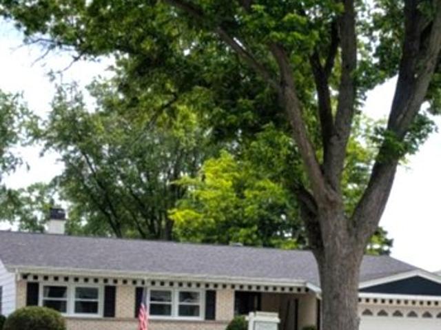 1825 E Sitka Ln, Mount Prospect, IL 60056