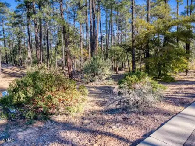 1825 S Pleasant View Dr, Show Low, AZ 85901 MLS 253676