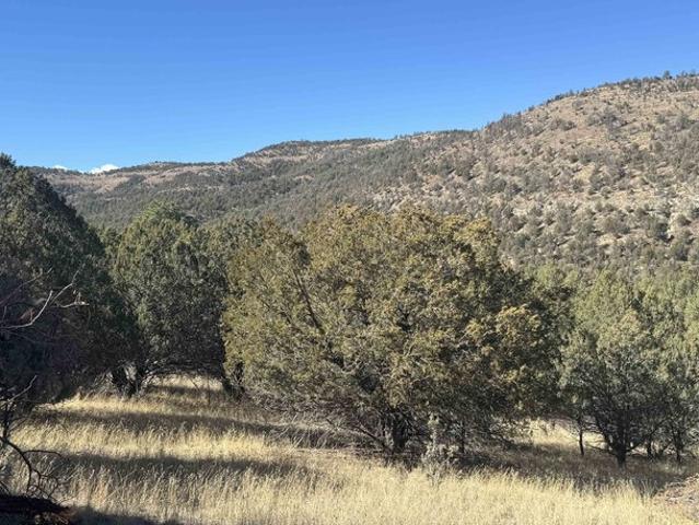 1826 Rio Penasco Rd, Mayhill, NM 88339