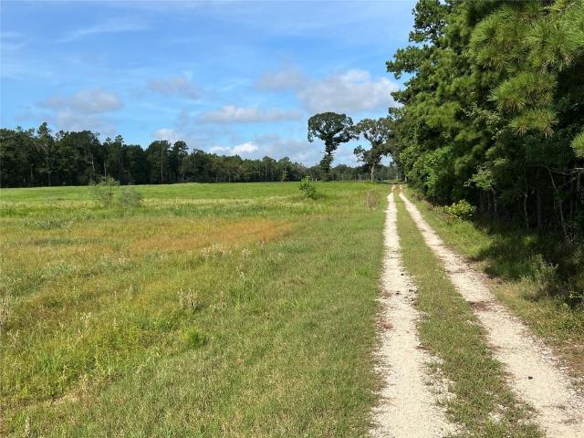 18288 Farm to Market 1774, Plantersville, TX 77363 | MLS #89105 | Compass