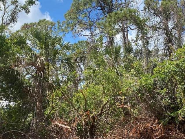 18290 Eblis Ave, Port Charlotte, FL 33948 | MLS #C7492 | Compass