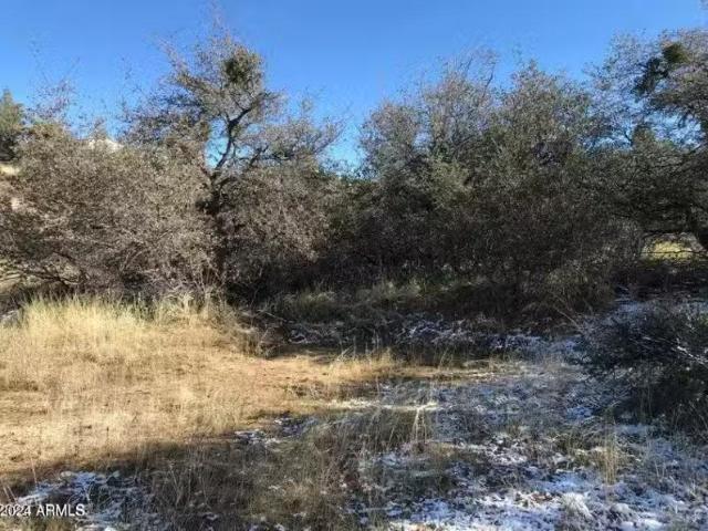 18290 S Niblick Dr #66JT, Peeples Valley, AZ 86332 MLS 6779122