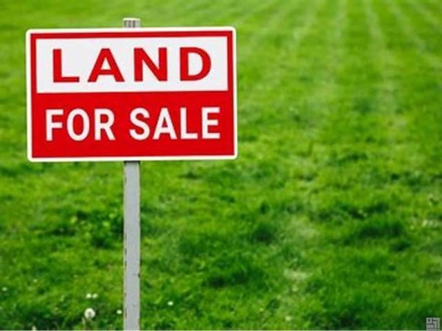 18292 Settlement Trce, Livingston, LA 70754