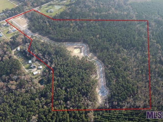 18292 Settlement Trace, Livingston, LA 70754 | MLS #BR2025003