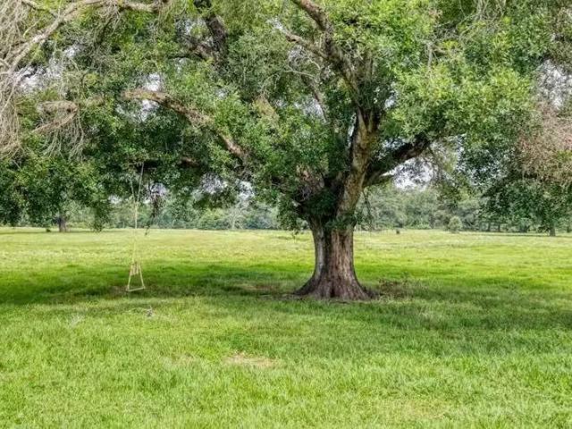 1820 SW South Old Smithville Road S, Flatonia, TX 78941 MLS.