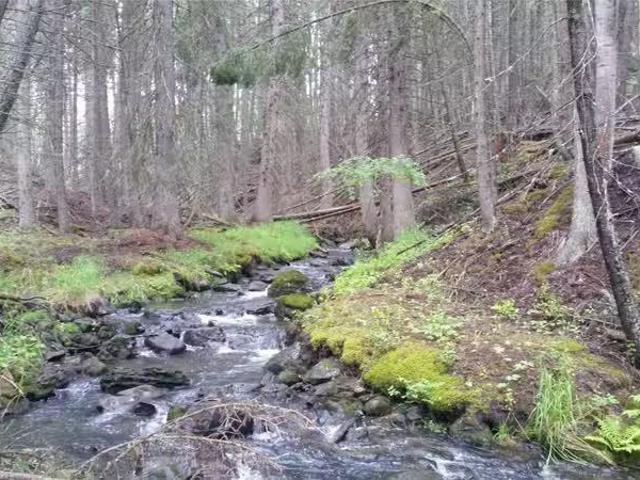 1820 TRUMAN CREEK RD, KILA, MT 59920 Vacant Land For Sale MLS.