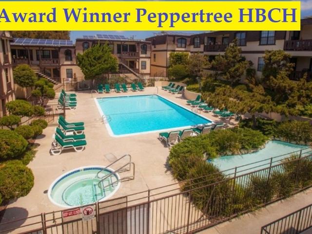 1821 Peppertree Apts LLC 2 Bedroom Apartment for Rent at 1821 Pacific Coast Hwy, Hermosa Beach, CA 90254 Hermosa Beach