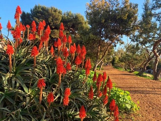 1821 Peppertree Apts LLC 2 Bedroom Apartment for Rent at 1821 Pacific Coast Hwy, Hermosa Beach, CA 90254 Hermosa Beach