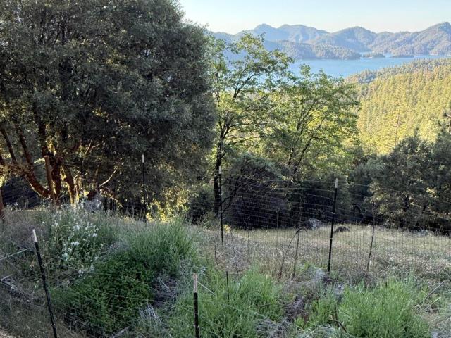 18225 Skyline Drive