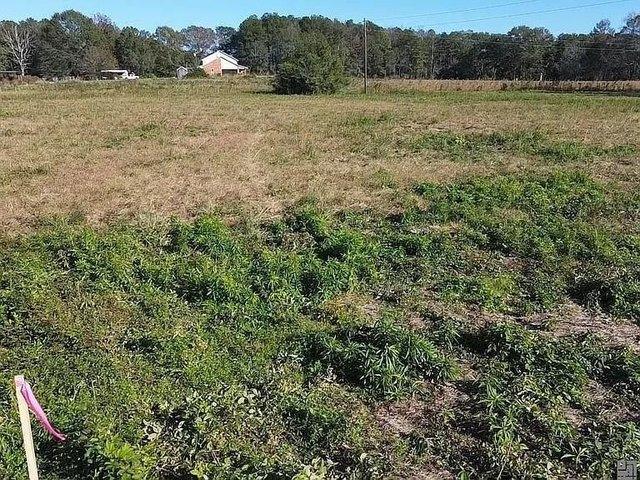 18237 B 2 1057 Kentwood Hwy Lot 1, LA 70444
