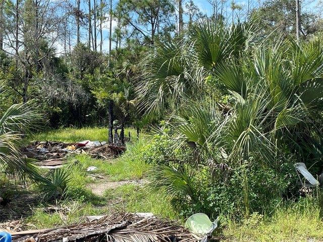 1823 Inspiration Ct, Lehigh Acres, FL 33972