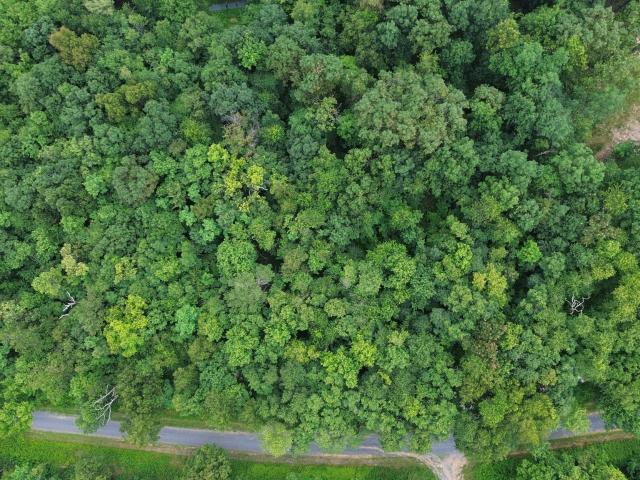 182 183 Rockwood Trail, Winchester, VA 22602 | MLS #VAFV2035 | Compass