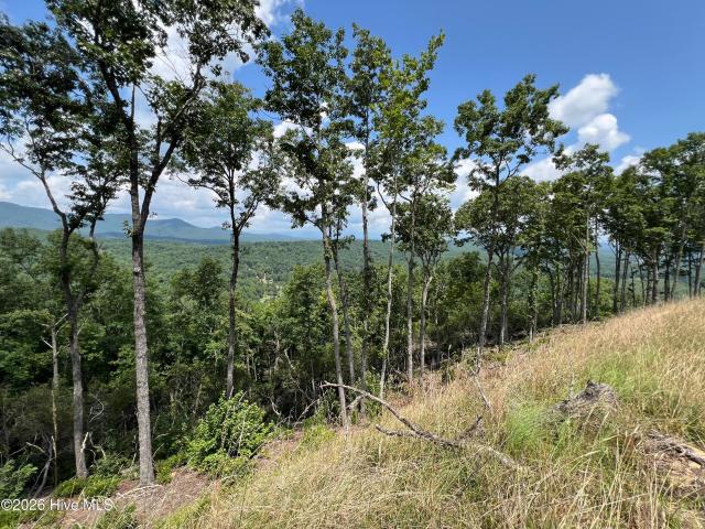 182 & 183 Skyline View Drive # 182/183