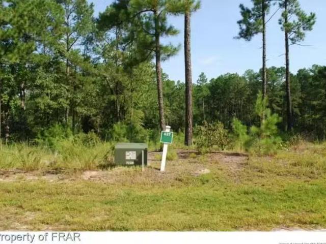182 Broadlake 637 Ln, Spring Lake, NC 28390 MLS LP734181