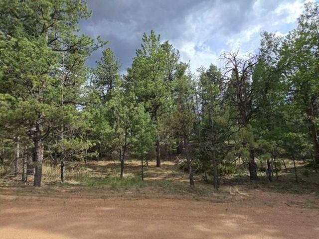 182 Wasatch Ln, Florissant, CO 80816