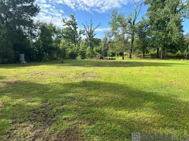 18376 Leo Causey Rd, Prairieville, LA 70769