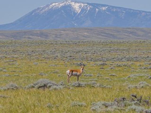 1838 County Road 3, Medicine Bow, WY 82329