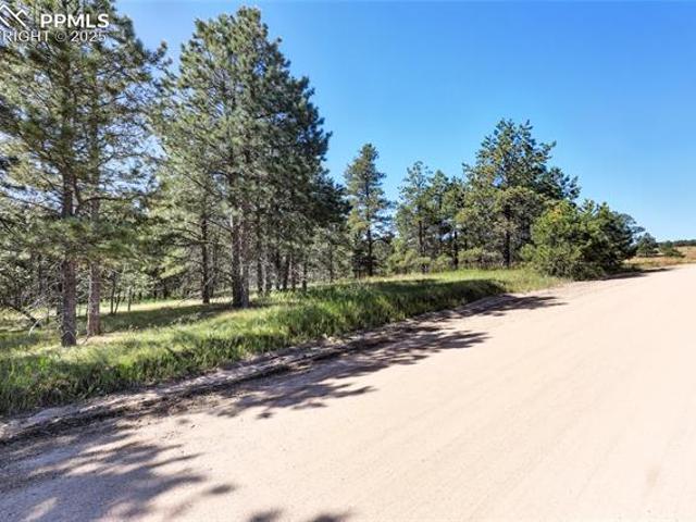 18390 Black Squirrel Road