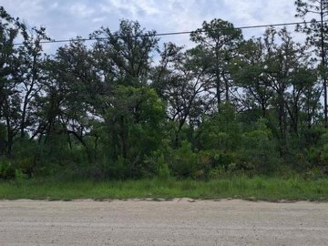 18308 Parakeet Rd, Weeki Wachee, FL 34614