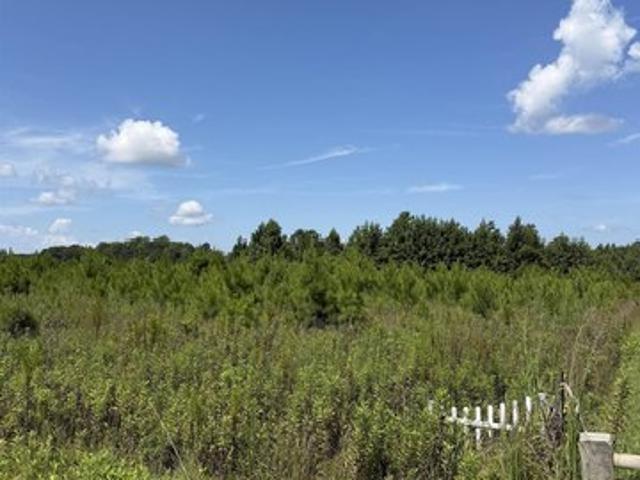 183 Dove Rd, Loris, SC 29569