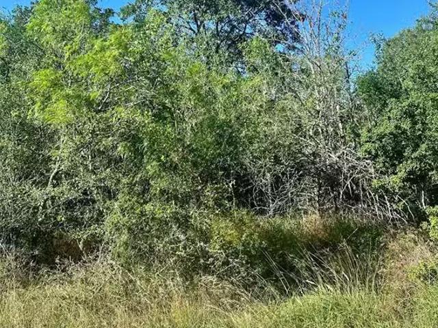 183 HELEMANO DR, BASTROP, TX 78602 Vacant Land For Sale MLS#.