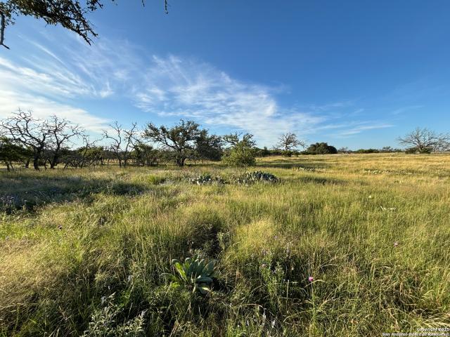 183 Lipan Loop, Harper, TX 78631 | MLS #1922