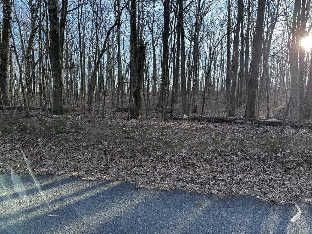 183 St. Andrews Way, Ellijay, GA 30536 | MLS #7706