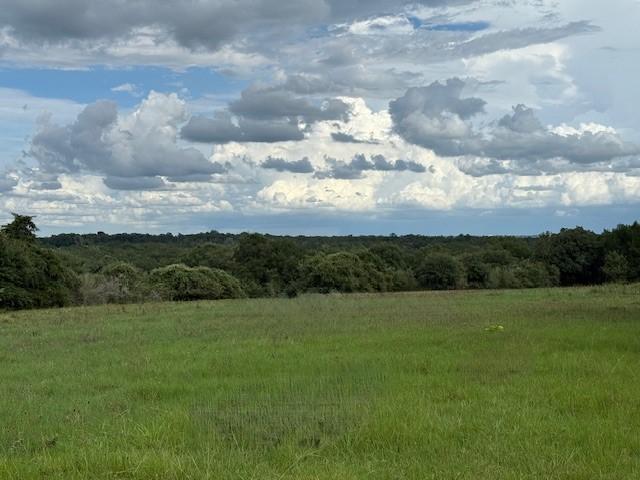 18442 County Road 433