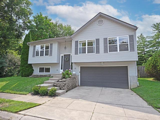 1845 Coralberry Court