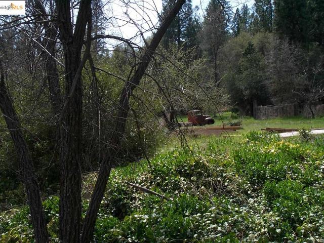 18497 Highway 120, Groveland, CA 95321 | MLS #41119 | Compass
