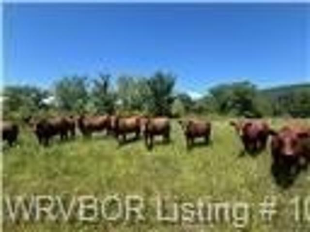 18412 OK 128 Lot Acreage, Heavener, OK 74937