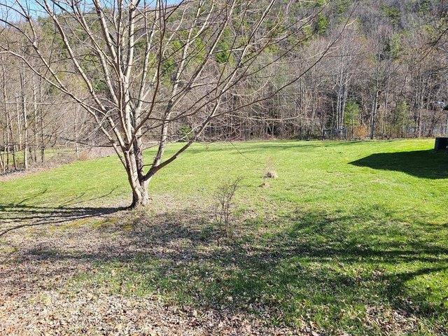 1843 St Clair Creek Rd Lot A, Chilhowie, VA 24319