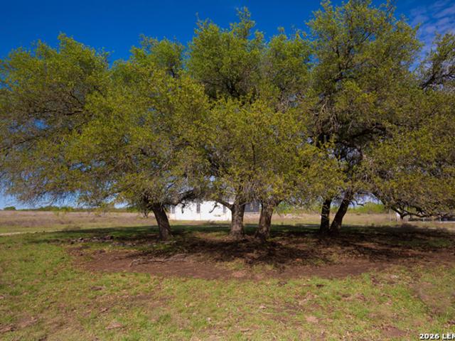 1843 Savanna Ridge Ranch Rd
