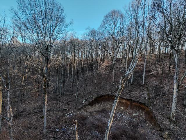 1843D Garrison Branch Rd